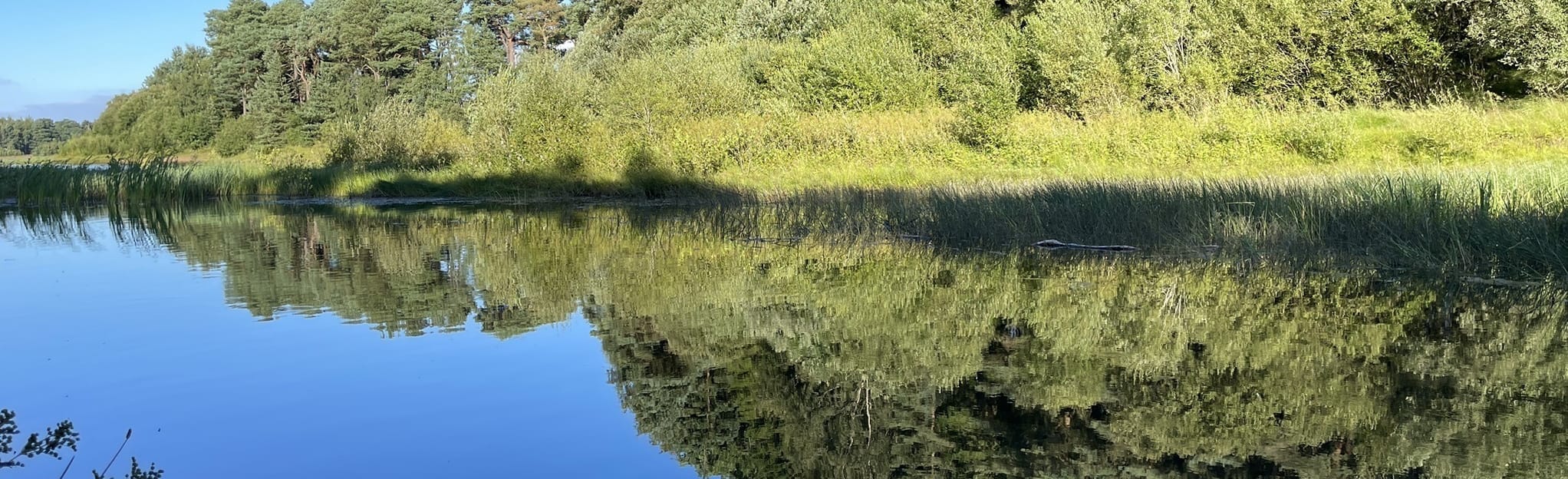 Harlaw Reservoir, Threipmuir Reservoir and Bavelaw Marsh Circular: 273 ...