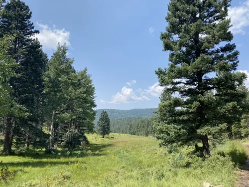 Best 10 Hikes and Trails in Carson National Forest | AllTrails