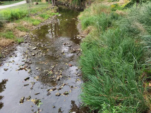 Best Hikes and Trails in Craig Park | AllTrails