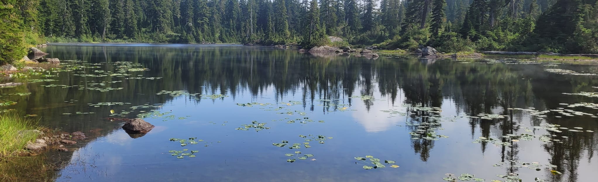 Seymour Valley Trailway to Seymour Dam: 307 Reviews, Map - British ...