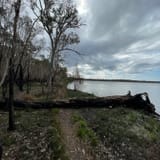 Lake Weyba Forest Loop, Queensland, Australia - 38 Reviews, Map | AllTrails