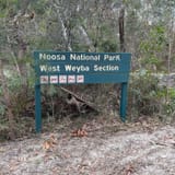 Lake Weyba Forest Loop, Queensland, Australia - 38 Reviews, Map | AllTrails
