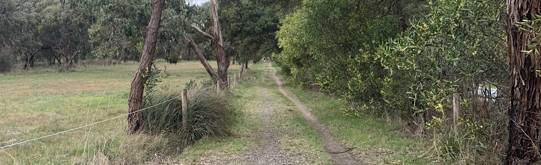 Langwarrin Loop, Victoria, Australia - 23 Reviews, Map | AllTrails