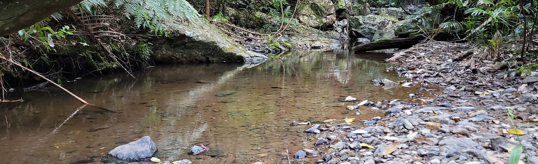 Fig Tree Falls Loop: 4 Reviews, Map - New South Wales, Australia ...