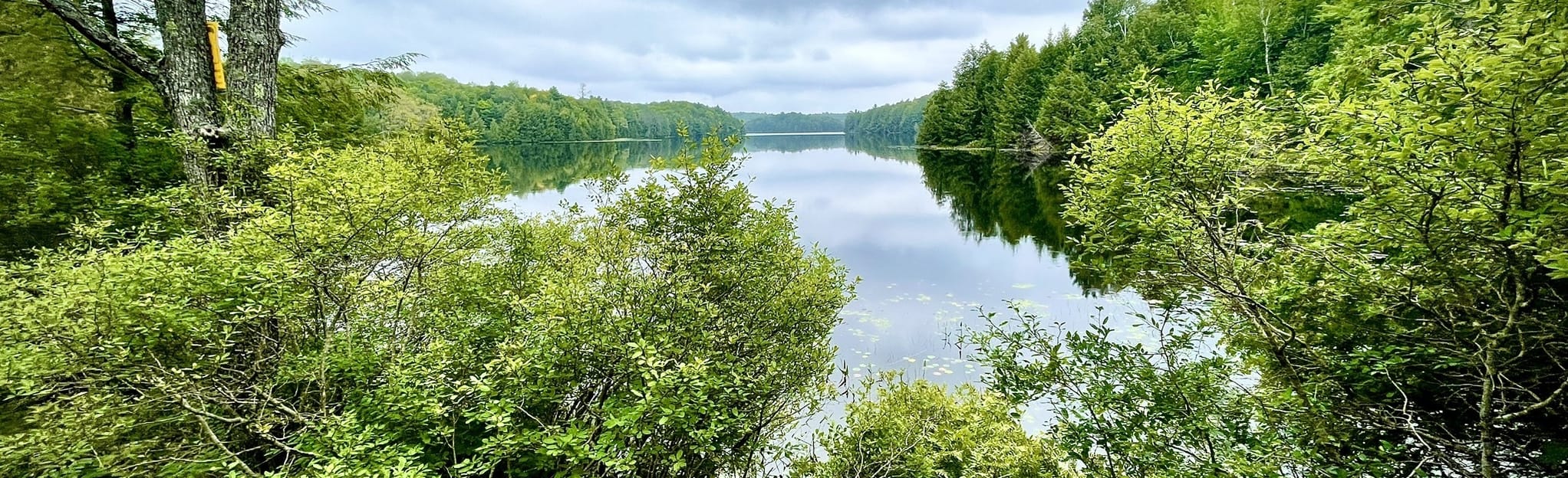 Bottle Lake Trail, Ontario, Canada - 39 Reviews, Map | AllTrails