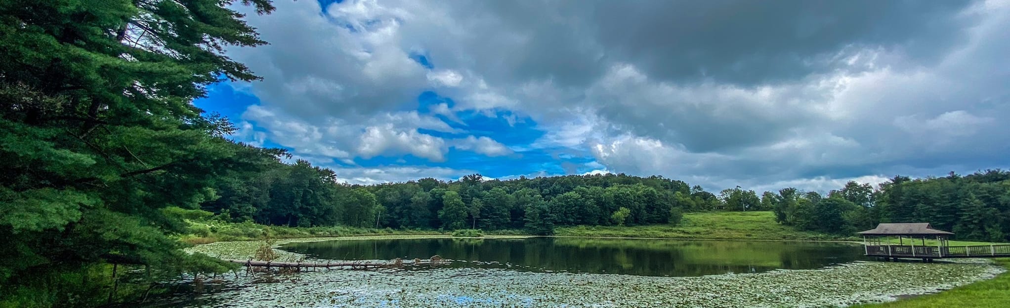 AllTrails | Wilderness Center Pond Trail: 51 Reviews, Map - Ohio