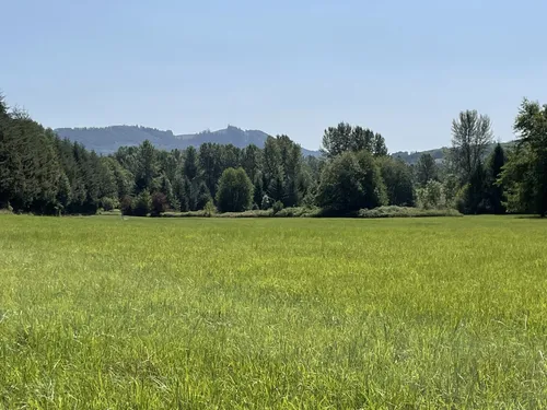 Best Hikes and Trails in Mossyrock Park | AllTrails