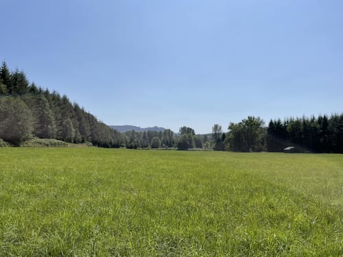 Best Hikes and Trails in Mossyrock Park | AllTrails