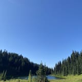 Lily Basin Trail, Washington - 92 Reviews, Map | AllTrails