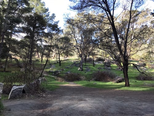 Best 10 Hikes and Trails in Mount Alexander Regional Park | AllTrails