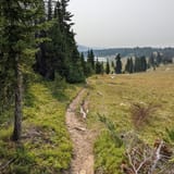 Hauser Lake Trail, Wyoming - 20 Reviews, Map | AllTrails