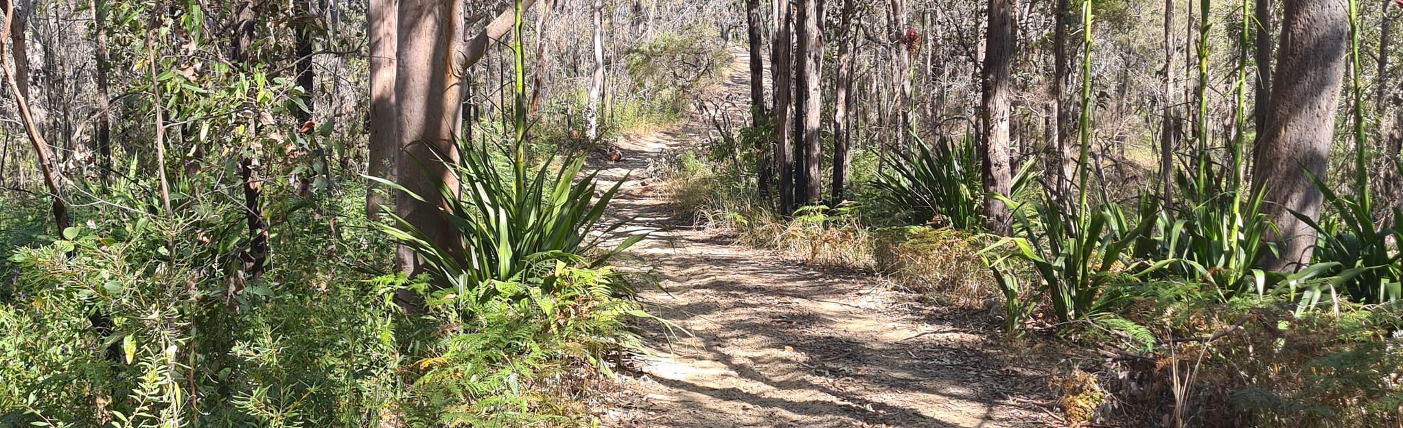 Awaba to Buttaba Hills, New South Wales, Australia - 22 Reviews, Map ...