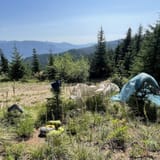 Stampede Pass to Tacoma Pass via the PCT, Washington - 34 Reviews, Map ...