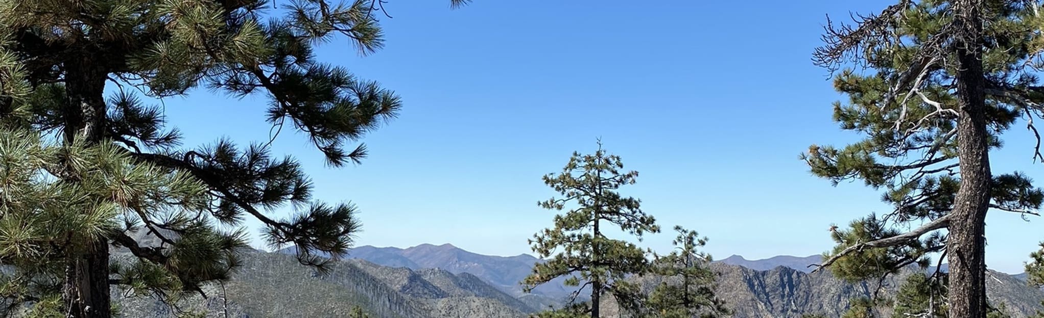 Kalmiopsis Rim Trail Loop: 1 Reviews, Map - Oregon | AllTrails