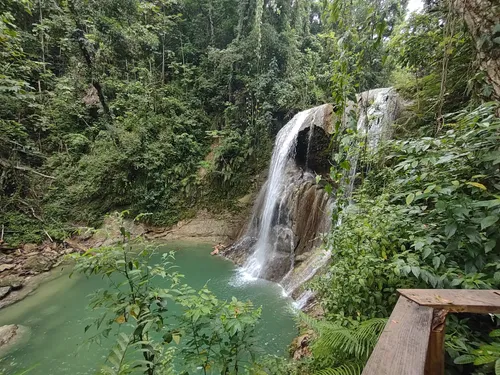 10 Best Waterfall Trails in Puerto Rico | AllTrails