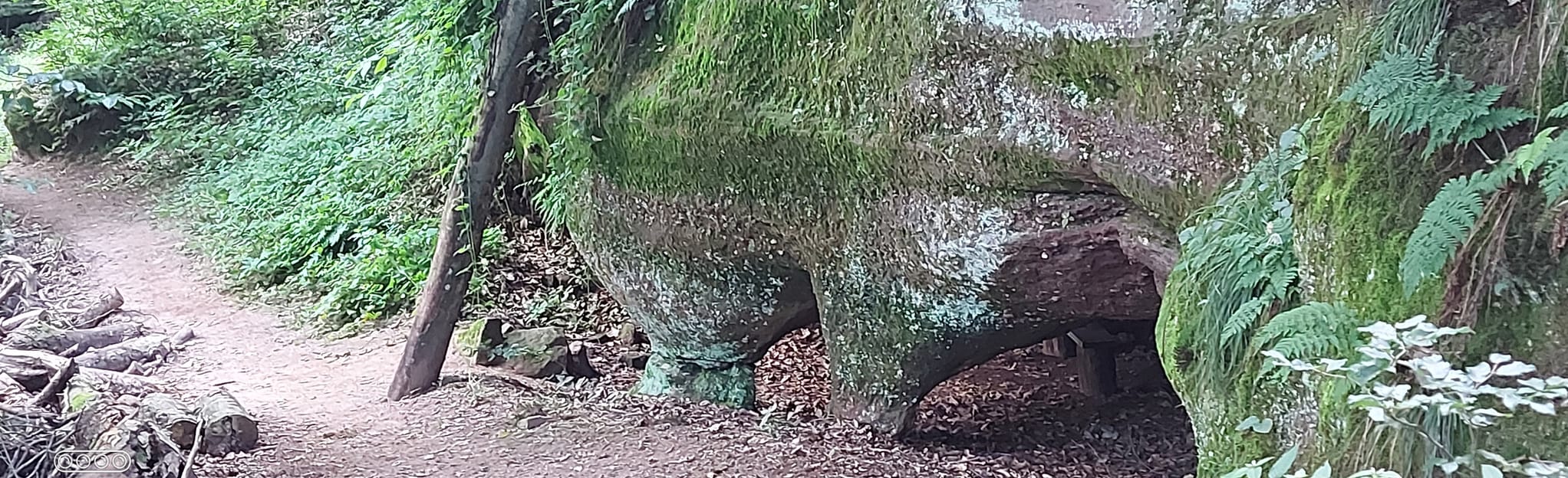 Lemberg Caves Trail, Moselle, France - 50 Reviews, Map | AllTrails