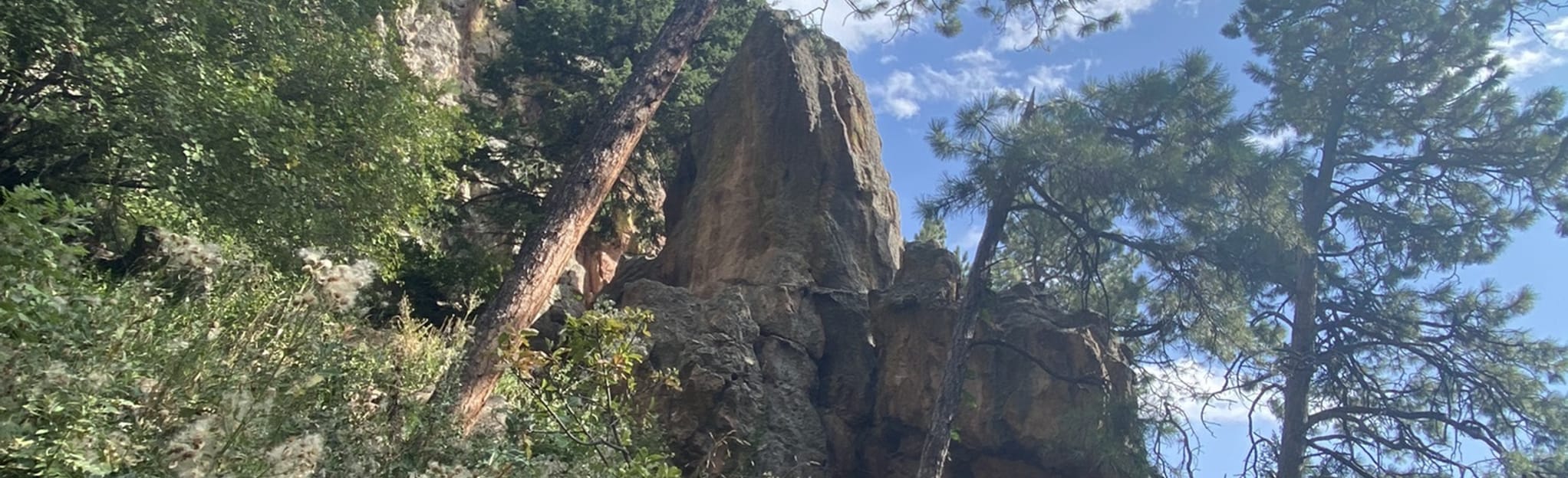 Amphitheater and Saddle Rock Loop: 420 Reviews, Map - Colorado | AllTrails