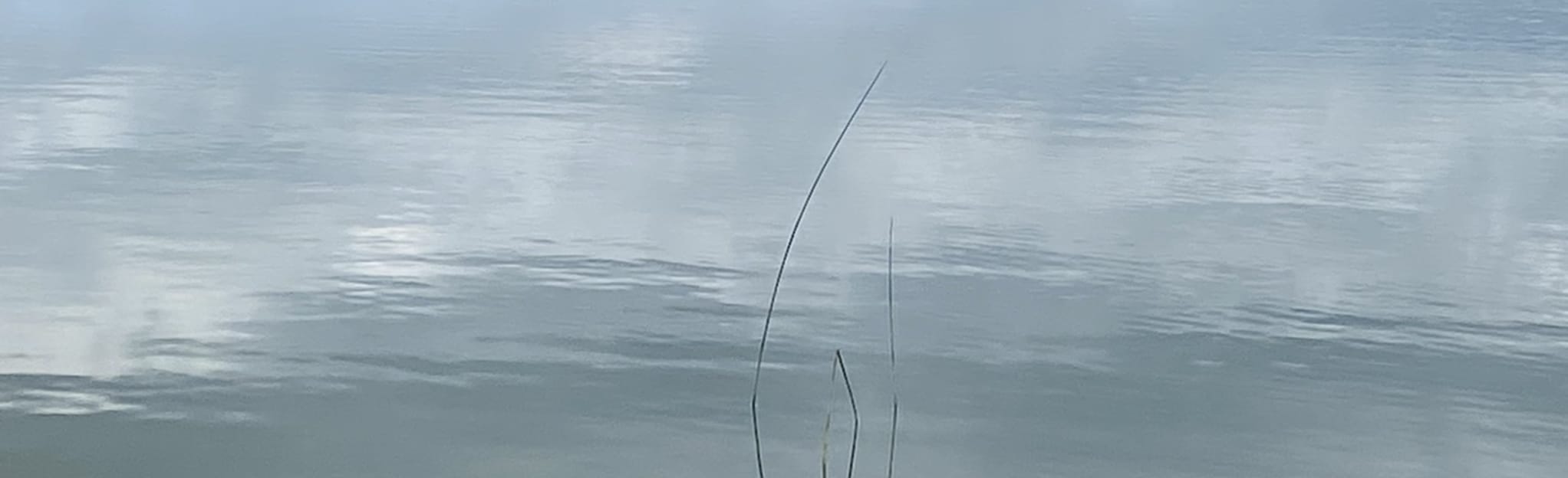 Arran Lake Paddle | Map, Guide - Ontario, Canada | AllTrails