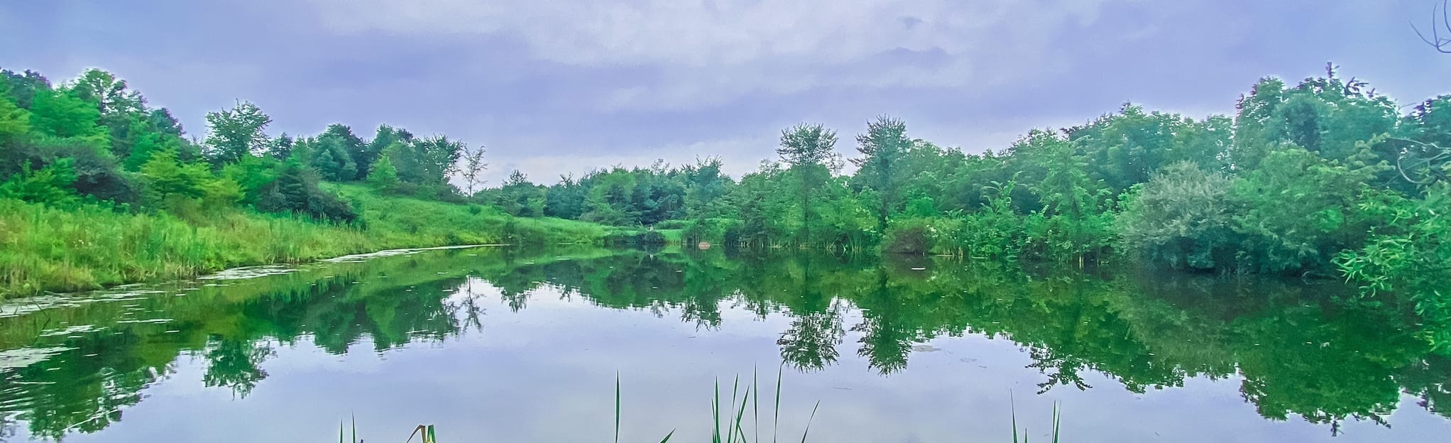 Norma Johnson Full Double Loop - Ohio | AllTrails