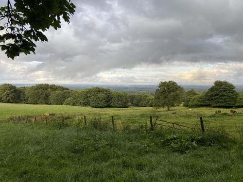 Best 10 Hikes and Trails in Blackdown Hills Area of Outstanding Natural ...