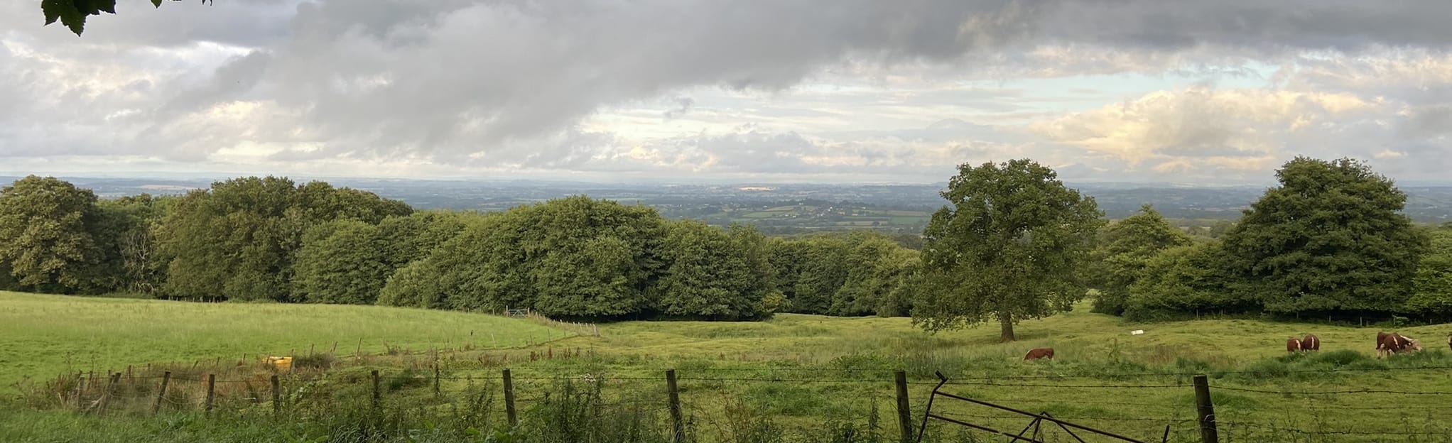 Castle Neroche, Middleroom Wood, and Thurlbear Wood Circular - Somerset ...