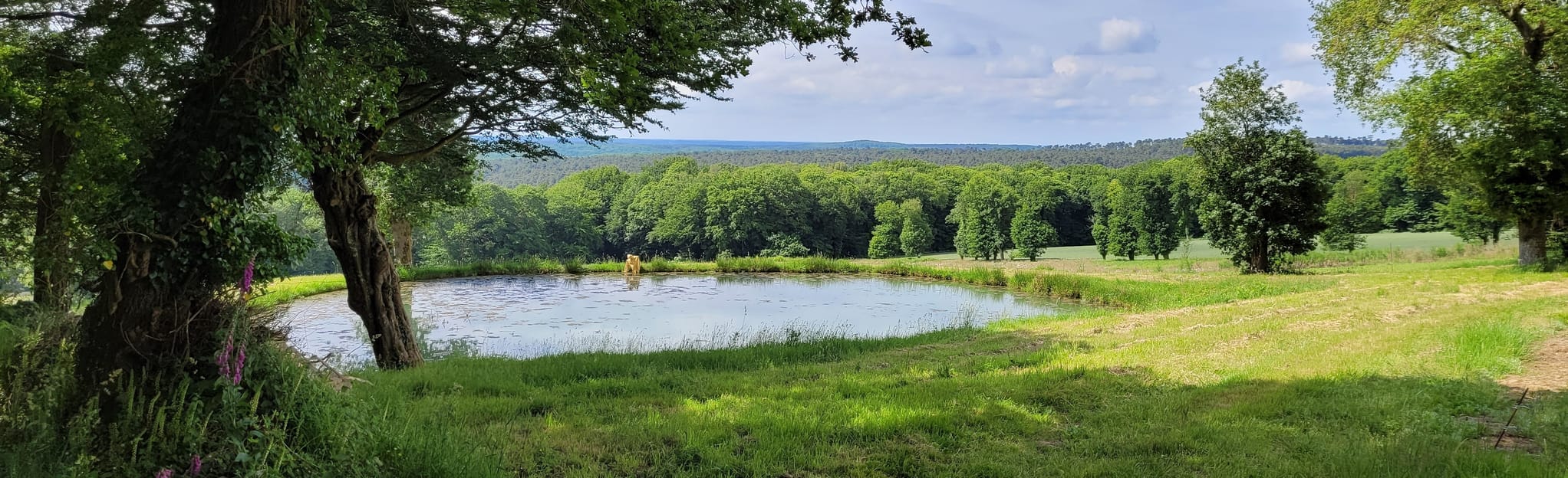 Brocéliande Forest: The Tour of Legends | Map, Guide - Ille-et-Vilaine ...