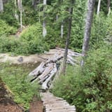 Boardman Lake Trail, Washington - 220 Reviews, Map | AllTrails