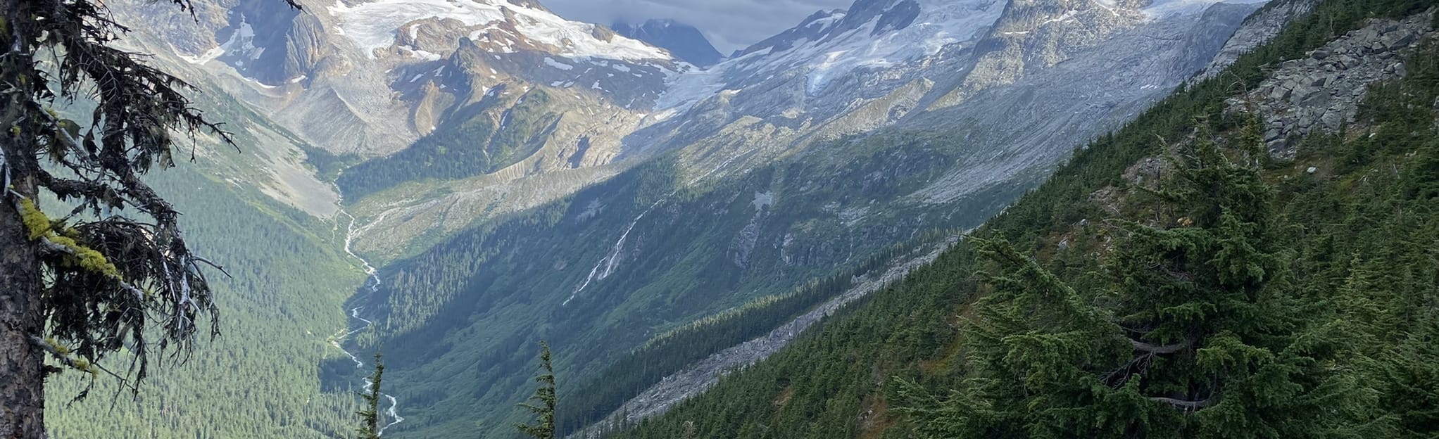 Abbott Ridge Trail: 396 Reviews, Map - British Columbia, Canada | AllTrails
