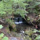 Hall Mountain Trail, Washington - 47 Reviews, Map | AllTrails