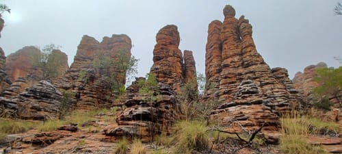 Best Hikes and Trails in Limmen National Park | AllTrails