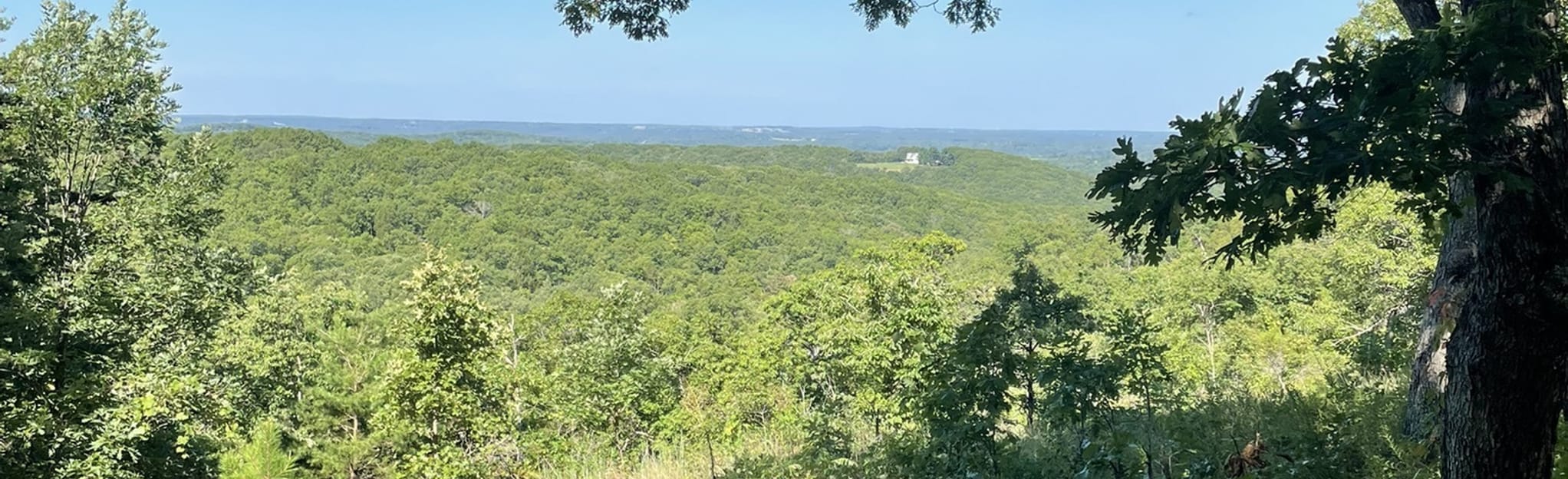 Spring Creek Gap Glade Trail: 159 Reviews, Map - Missouri | AllTrails