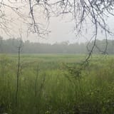 Richloam Wildlife Management Area, Florida - 61 Reviews, Map | AllTrails