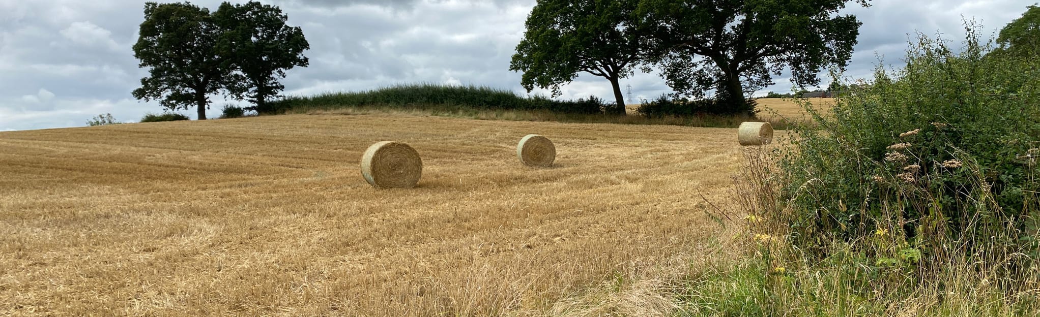 Tiffield Circular: 21 Reviews, Map - Northamptonshire, England | AllTrails