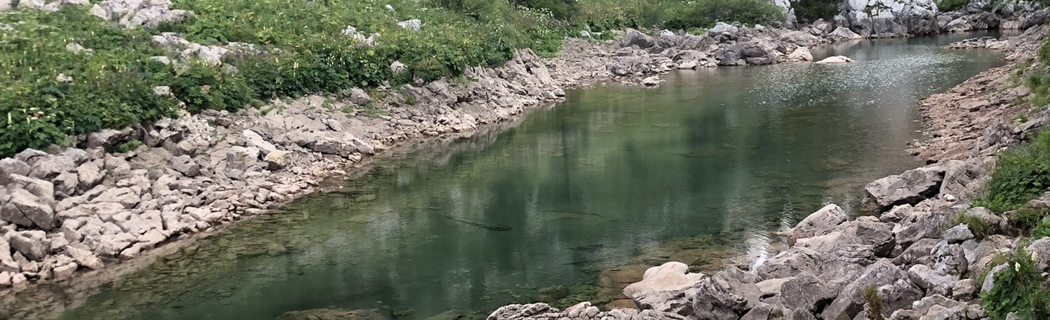 Dom na Komni – Trenta - Bohinj, Slovenia | AllTrails