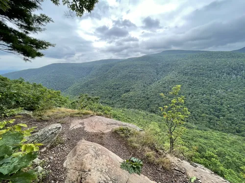 10 Best Hikes and Trails in Kaaterskill Wild Forest | AllTrails
