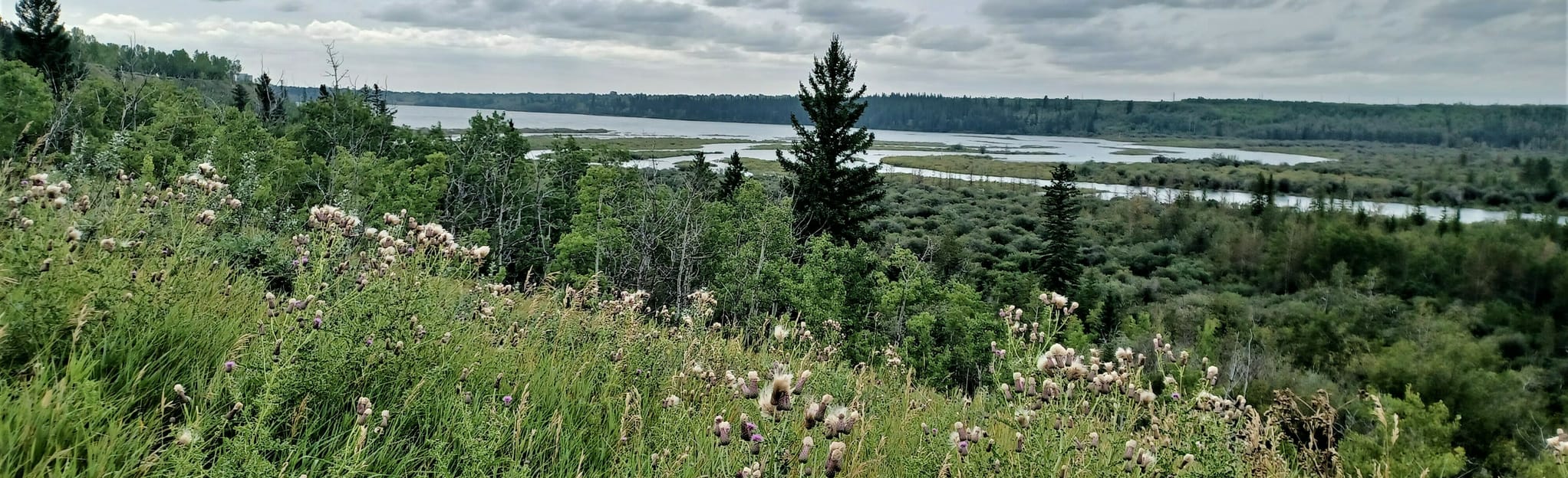 Oxbow Trail Loop: 1106 Reviews, Map - Alberta, Canada | AllTrails