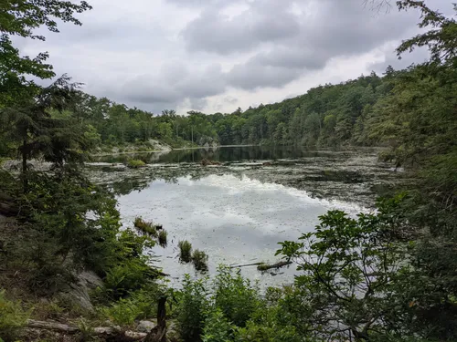 2023 Best 10 Forest Trails in Kent Cliffs | AllTrails