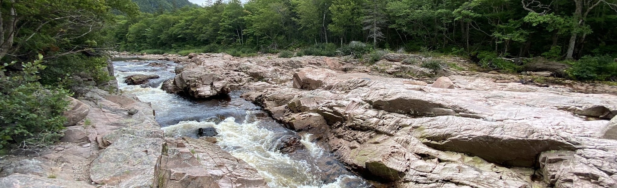 Salmon Pools Trail - Nova Scotia, Canada | AllTrails