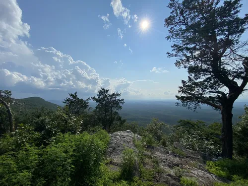 10 Best Hikes and Trails in Cheaha Wilderness | AllTrails