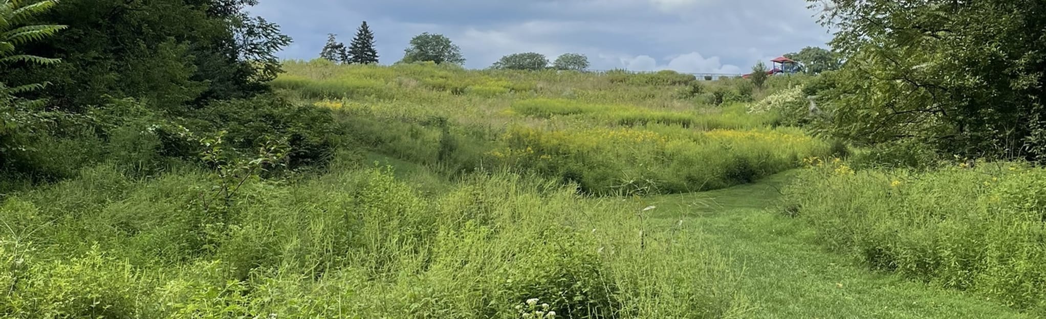 Monocacy Park Blue Trail, Green Trail Loop, Pennsylvania - 206 Reviews ...