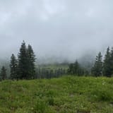 Johnson Ridge Trail, Washington - 233 Reviews, Map | AllTrails