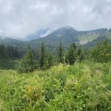 Johnson Ridge Trail, Washington - 233 Reviews, Map | AllTrails