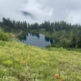 Johnson Ridge Trail, Washington - 233 Reviews, Map | AllTrails