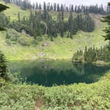 Johnson Ridge Trail, Washington - 233 Reviews, Map | AllTrails
