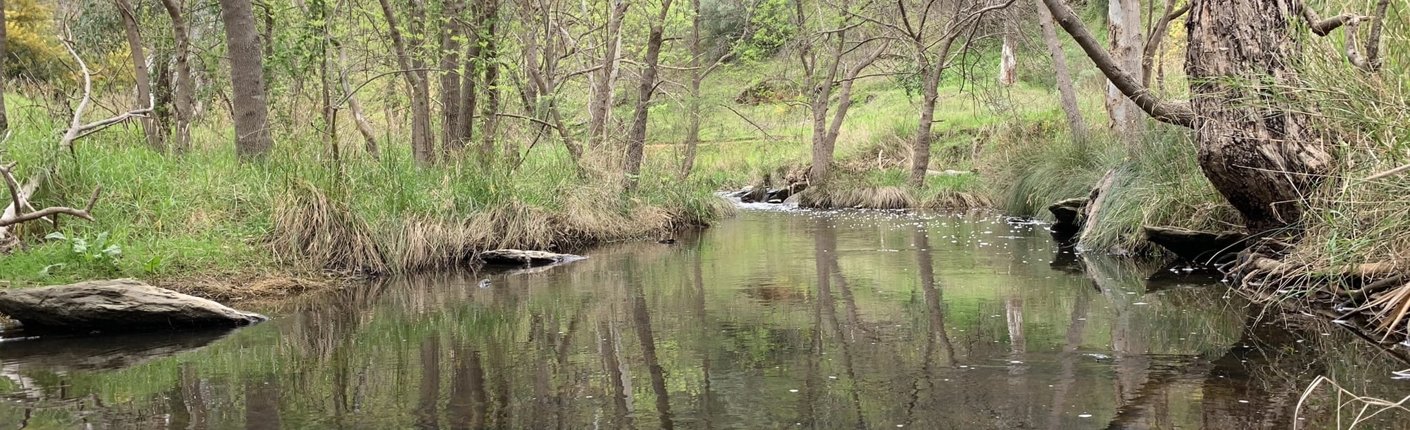 Flagstaff, Lomandra, and Spring Creek Trails Loop - South Australia ...