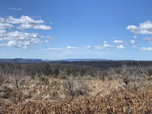 Best Hikes and Trails in Wingello State Forest | AllTrails