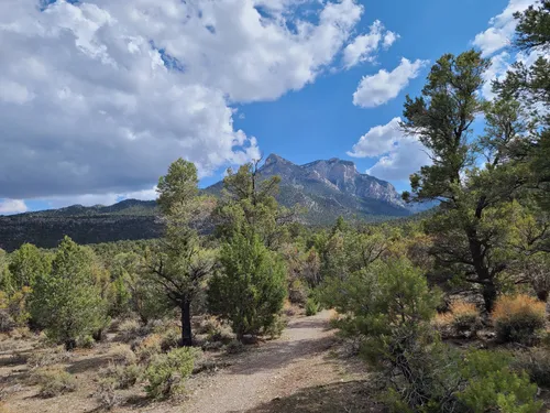 10 Best Easy Trails in Humboldt-Toiyabe National Forest | AllTrails