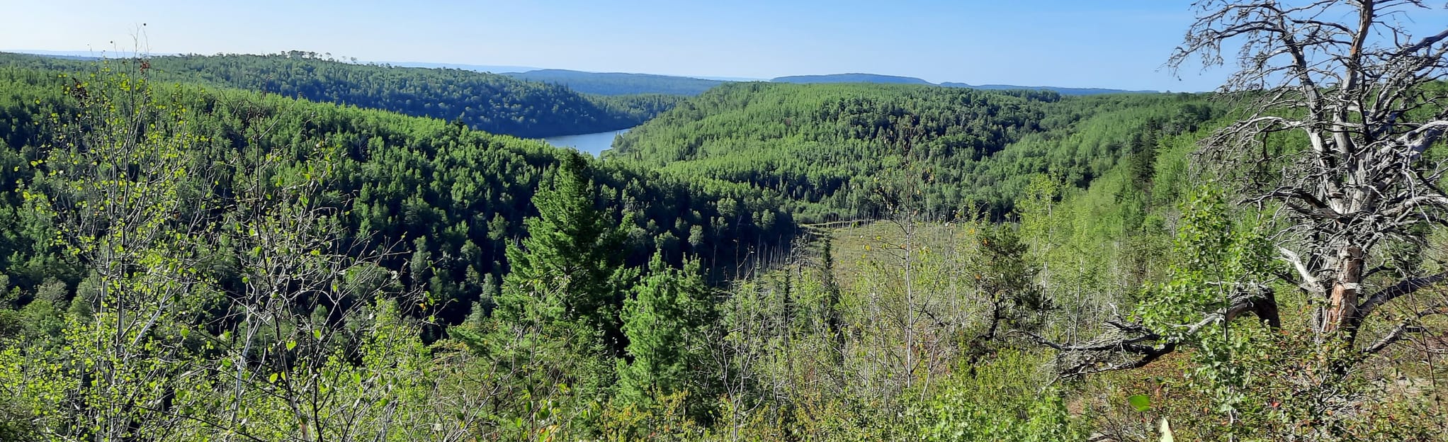 Fox Mountain Trail: 116 Reviews, Map - Ontario, Canada | AllTrails