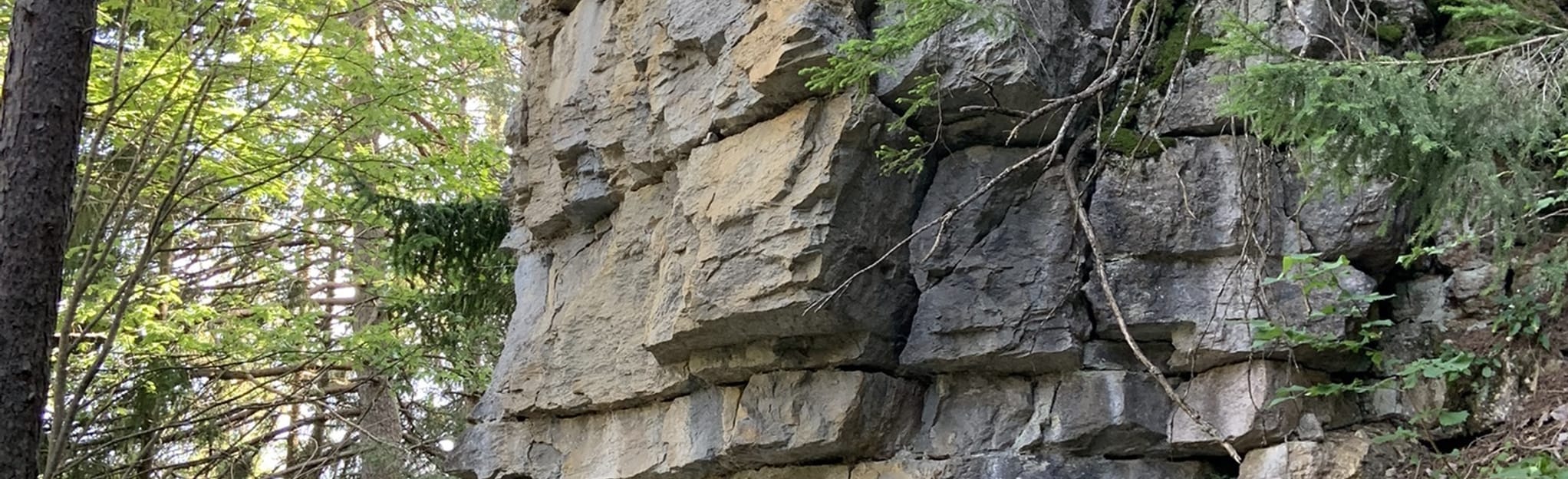 Les Mayens de Conthey - Coppet: 5 Fotos - Wallis, Schweiz | AllTrails