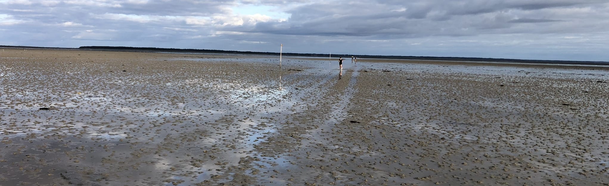 Ho - Langli, 1 Fotos - Region Syddanmark, Dänemark | AllTrails